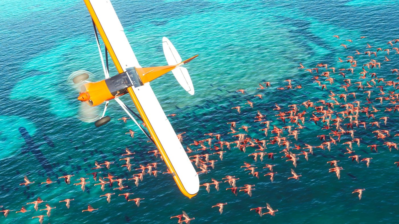 How many copies did Microsoft Flight Simulator sell? — 2025 statistics ...