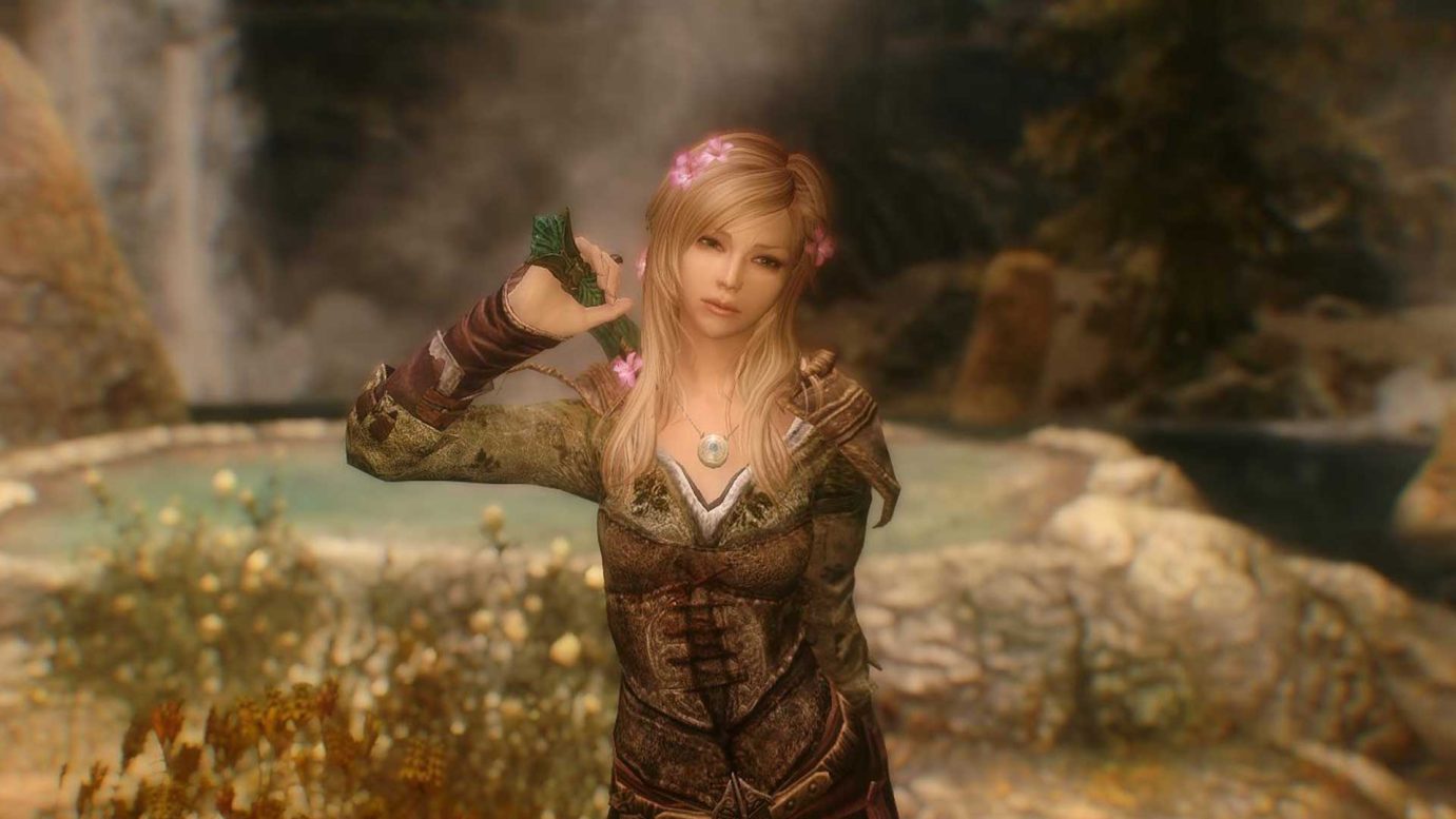 7 best Skyrim follower mods & guide | LEVVVEL